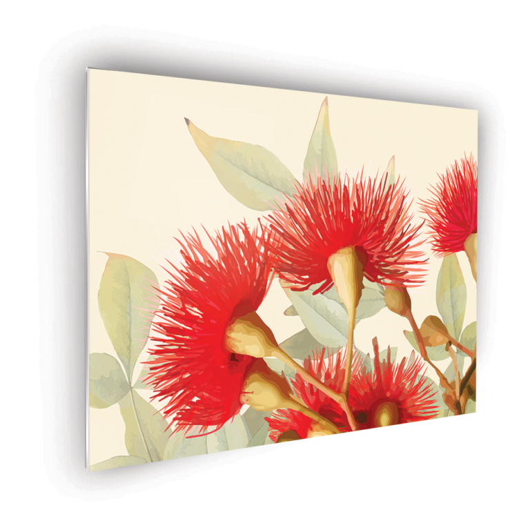 Red Gum Flowers – Wall Art by Modern Prints - Modern Prints
