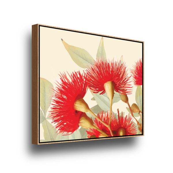 Red Gum Flowers – Wall Art by Modern Prints - Modern Prints