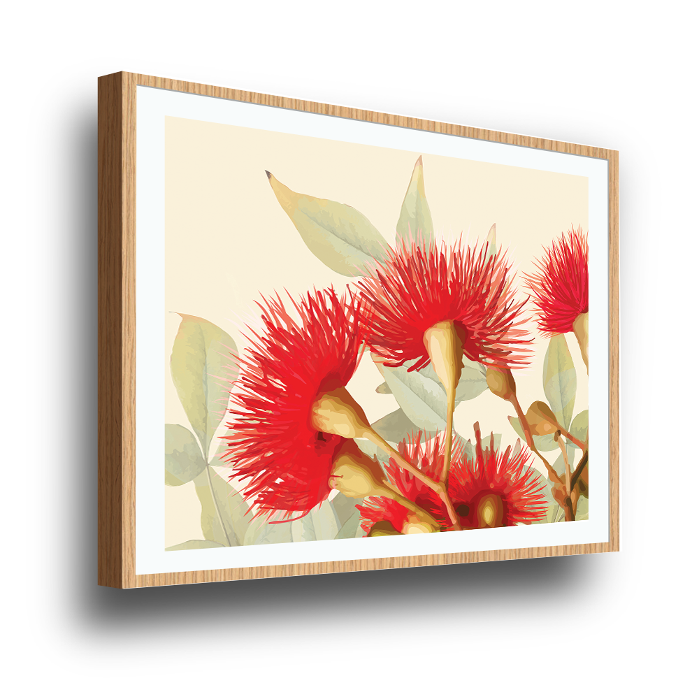 Shop wall art prints online - Red Gum Flowers - Wall Art by Modern ...