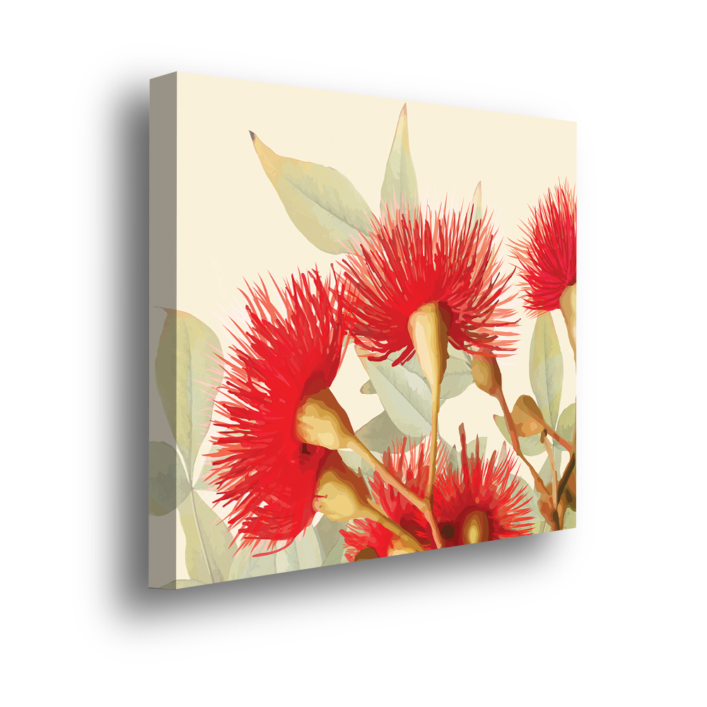 Red Gum Flowers – Wall Art by Modern Prints - Modern Prints