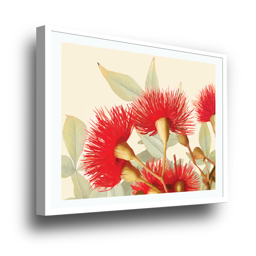 Shop wall art prints online - Red Gum Flowers - Wall Art by Modern ...
