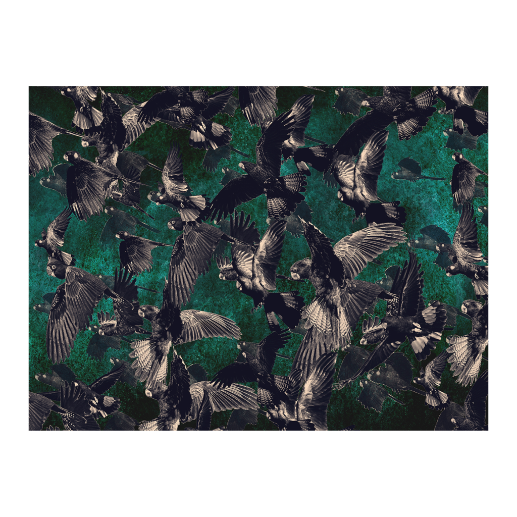 Flock Glacier – Wall Art by Modern Prints - Modern Prints