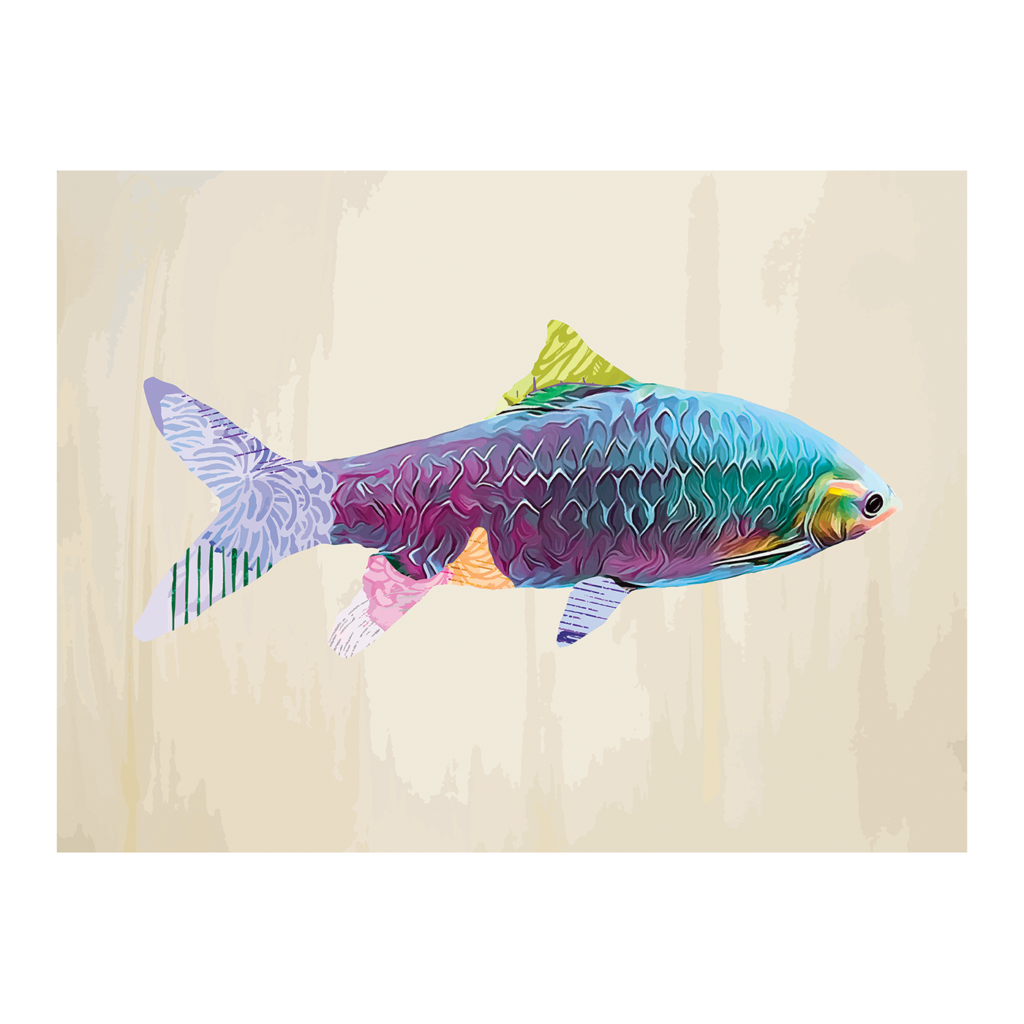 Glisten Fish – Wall Art by Modern Prints - Modern Prints