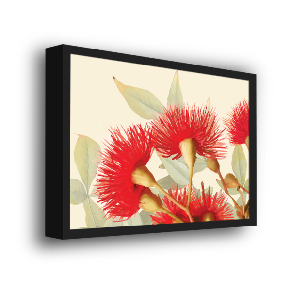 Red Gum Flowers – Wall Art by Modern Prints - Modern Prints