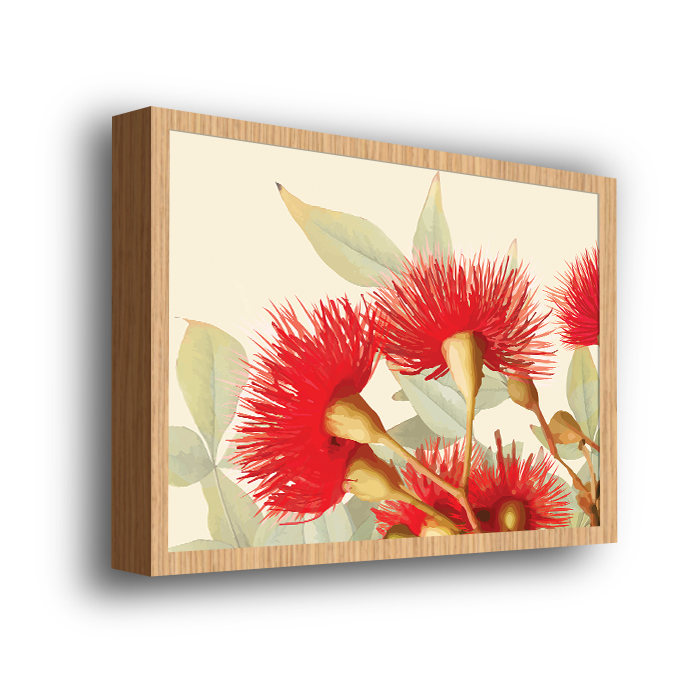 Red Gum Flowers – Wall Art by Modern Prints - Modern Prints