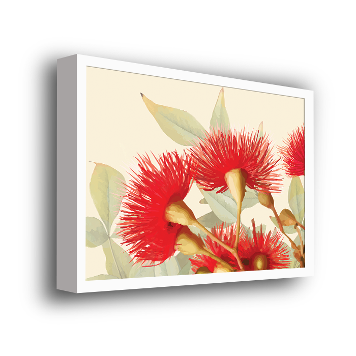 Red Gum Flowers – Wall Art by Modern Prints - Modern Prints