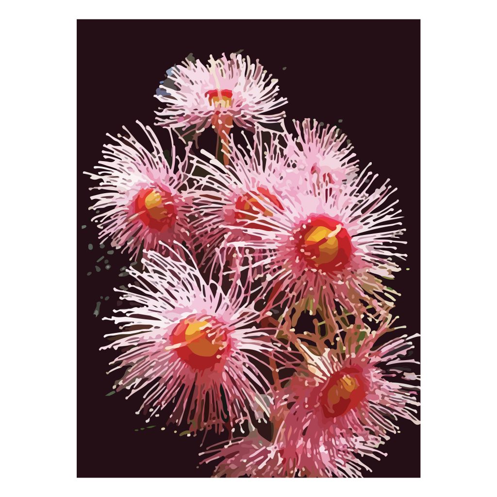 Australian Spring – Wall Art by Modern Prints - Modern Prints