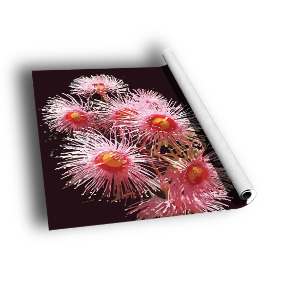 Australian Spring – Wall Art by Modern Prints - Modern Prints