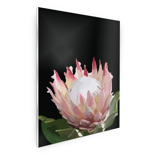 Soft Protea 2 – Wall Art by Modern Prints - Modern Prints