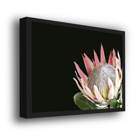 Soft Protea – Wall Art by Modern Prints - Modern Prints