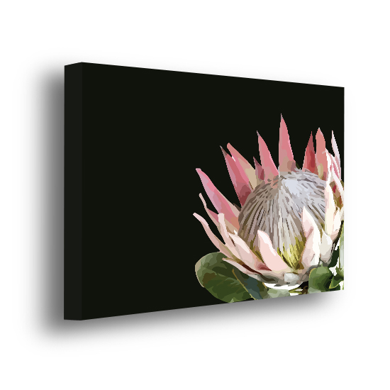 Soft Protea – Wall Art by Modern Prints - Modern Prints